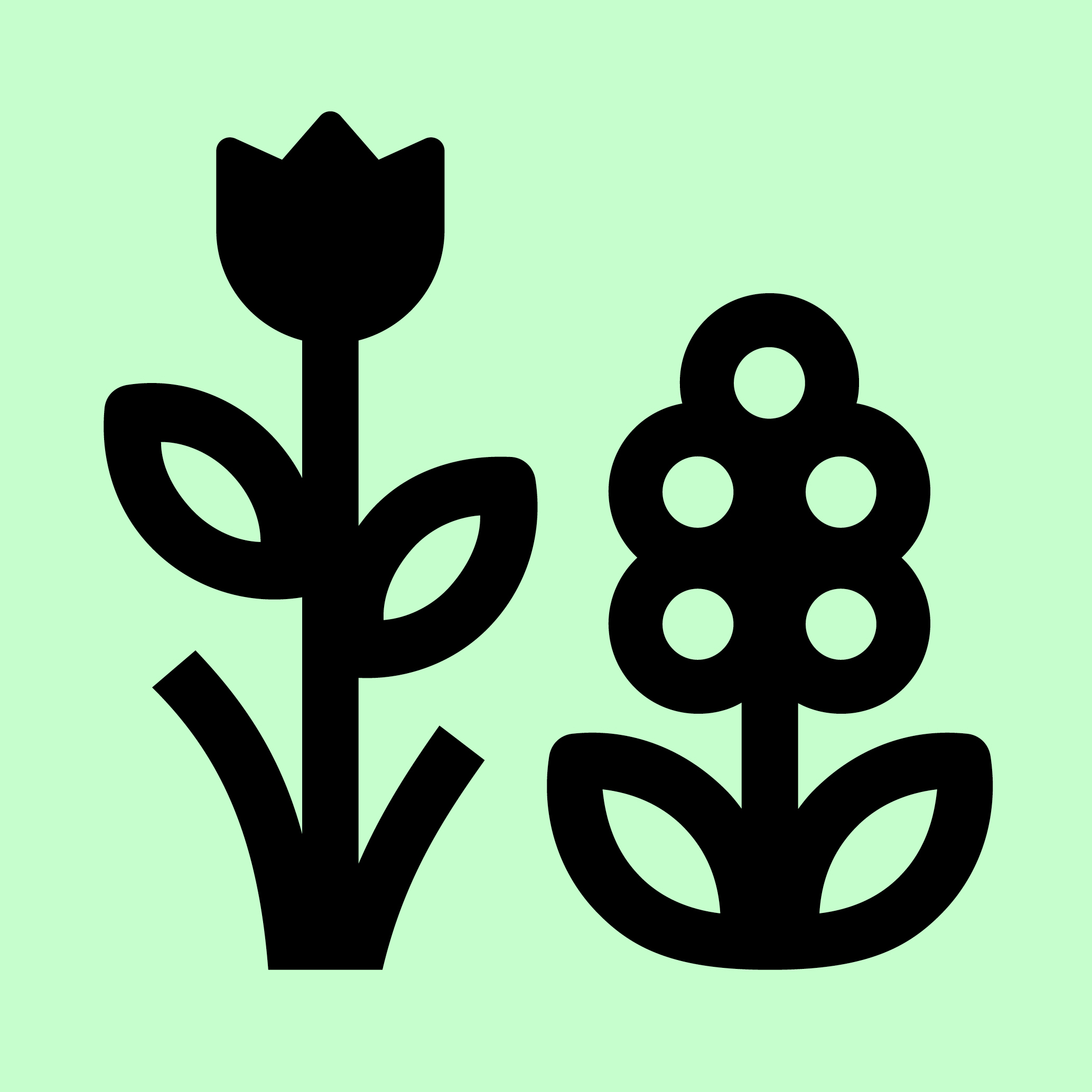 Gwennina Moigne Studio — Pictogrammes